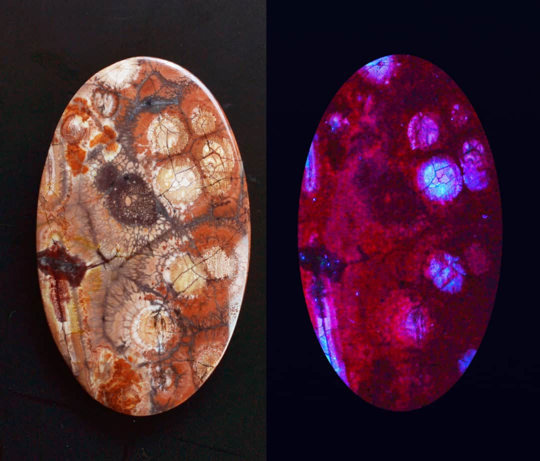 Rhyolite Bird's Eye 75.54cts Oval Shape Cabochon 53.60 x 32.00mm Mexico ...